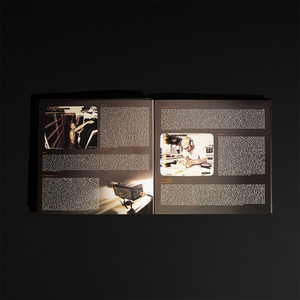 THE EMINEM SHOW 20TH ANNIVERSARY EXPANDED EDITION COLLECTOR'S 4LP ...